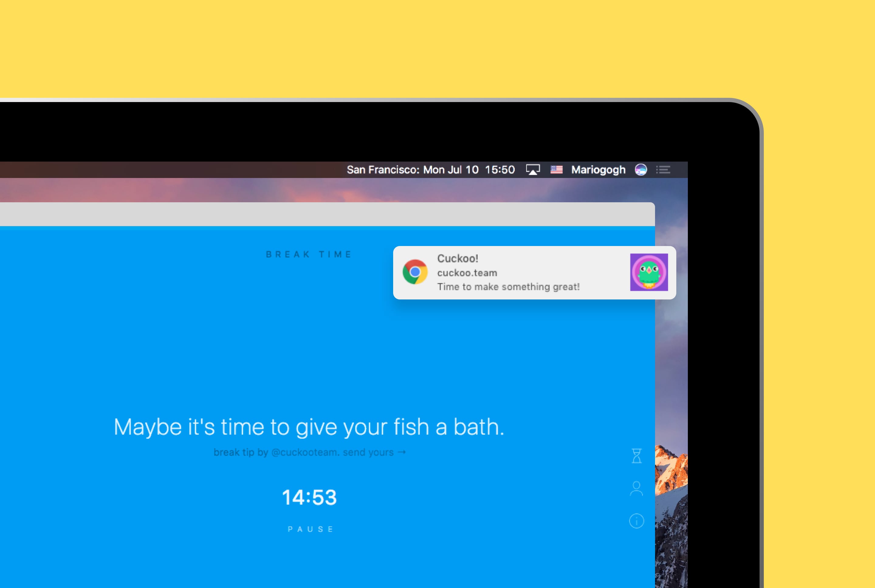 How we made our meetings more productive and fun with Cuckoo — Startaê